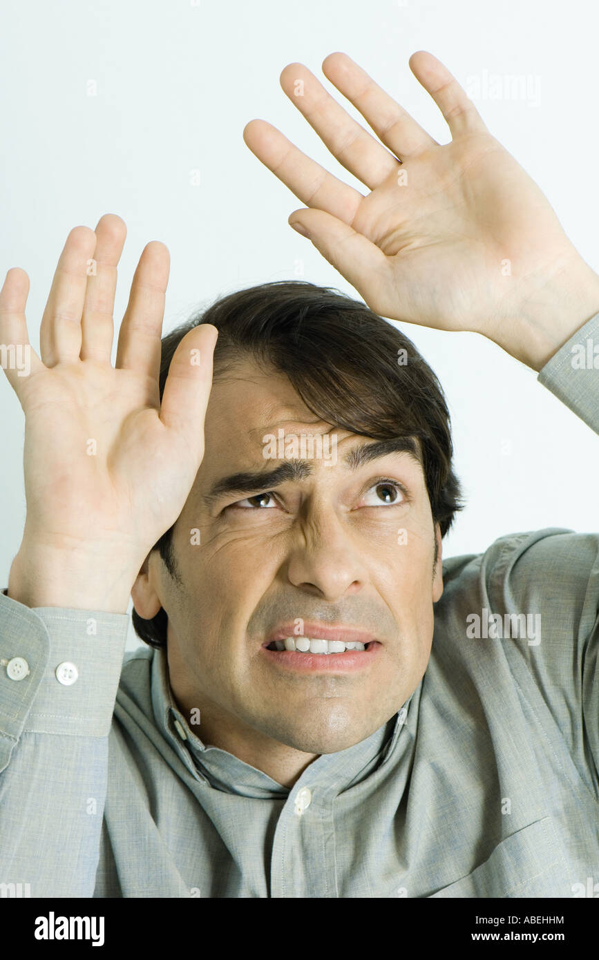 Man cringing with hands above head, head and shoulders, portrait Stock ...