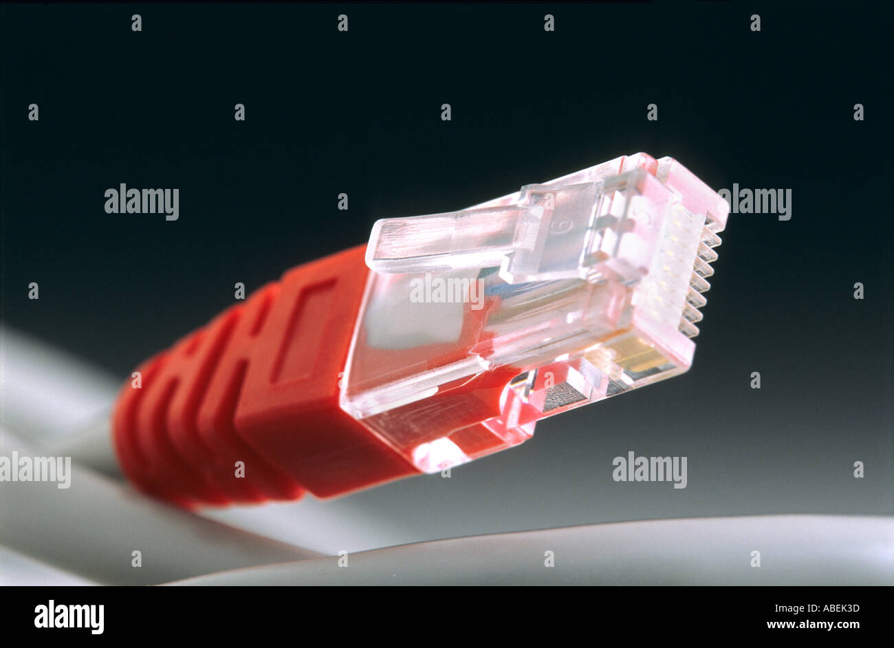 COMPUTER PLUG Stock Photo - Alamy
