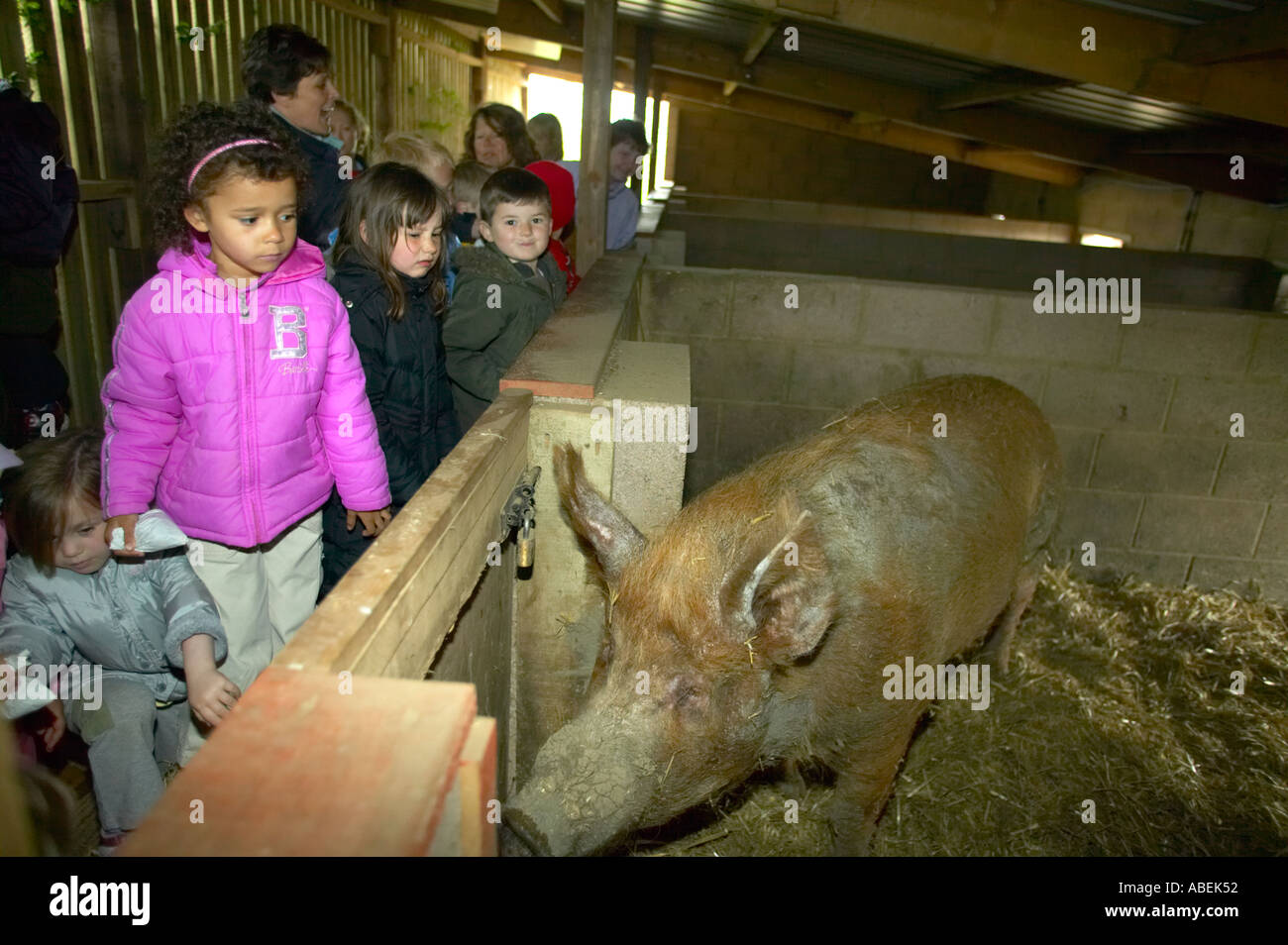 Visiting a farm hi-res stock photography and images - Alamy