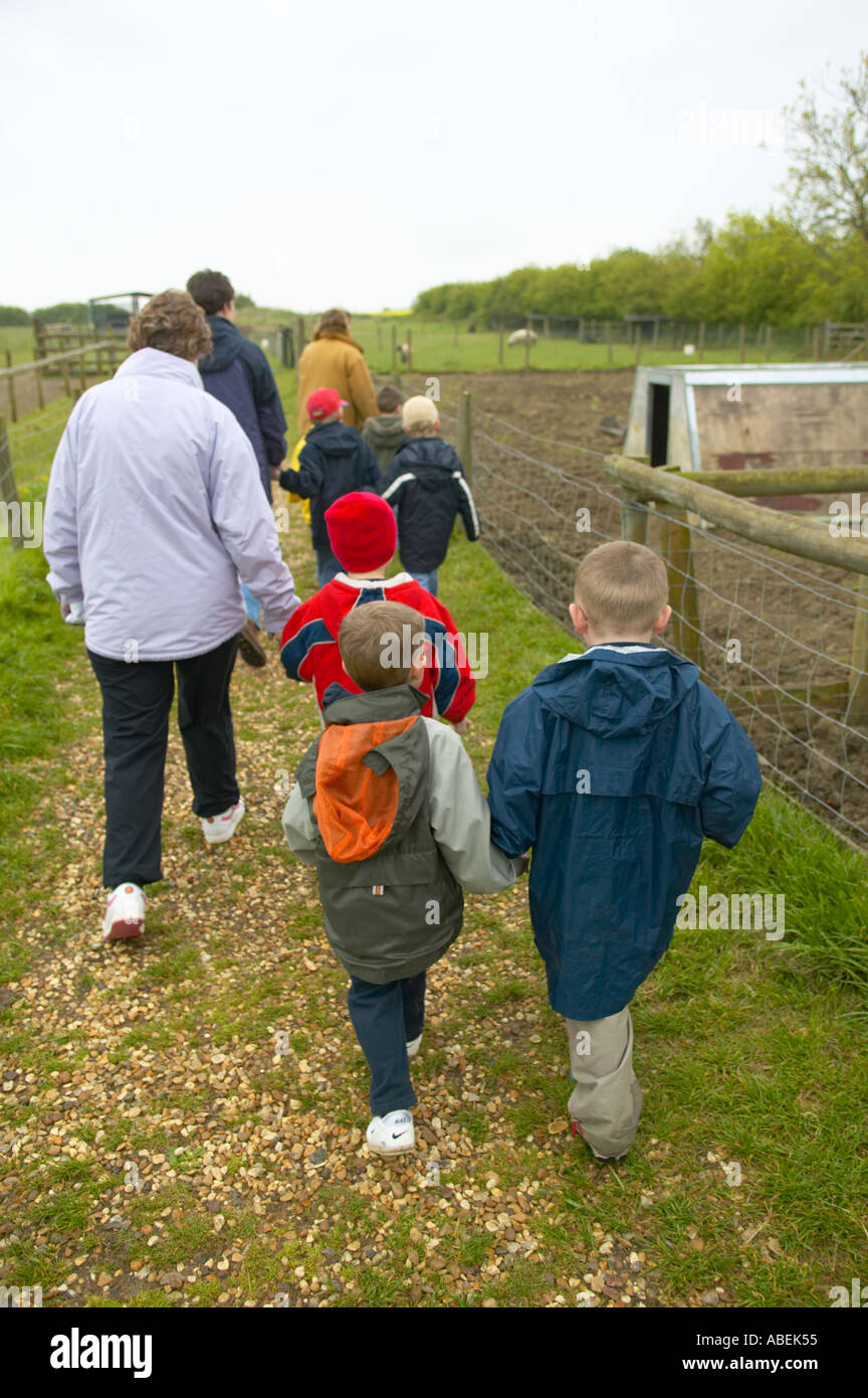 school children visiting a farm Looking at a pig Stock Photo - Alamy
