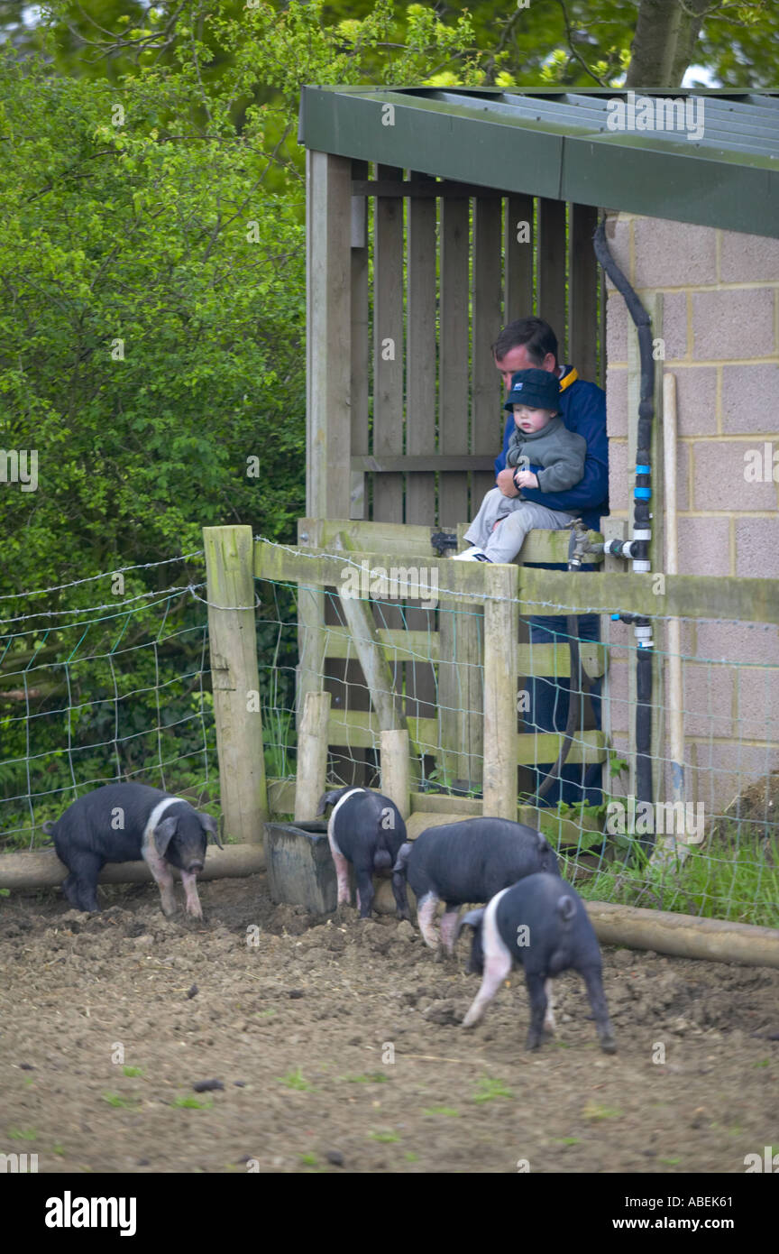 Children visiting farm hi-res stock photography and images - Alamy