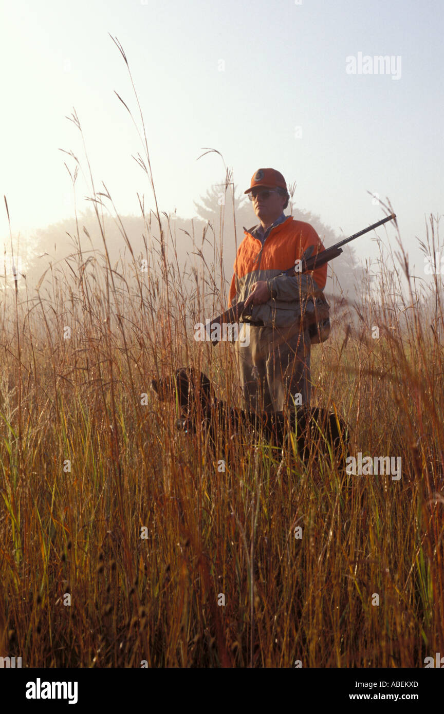 Hunter with shotgun and hunting dog Stock Photo - Alamy