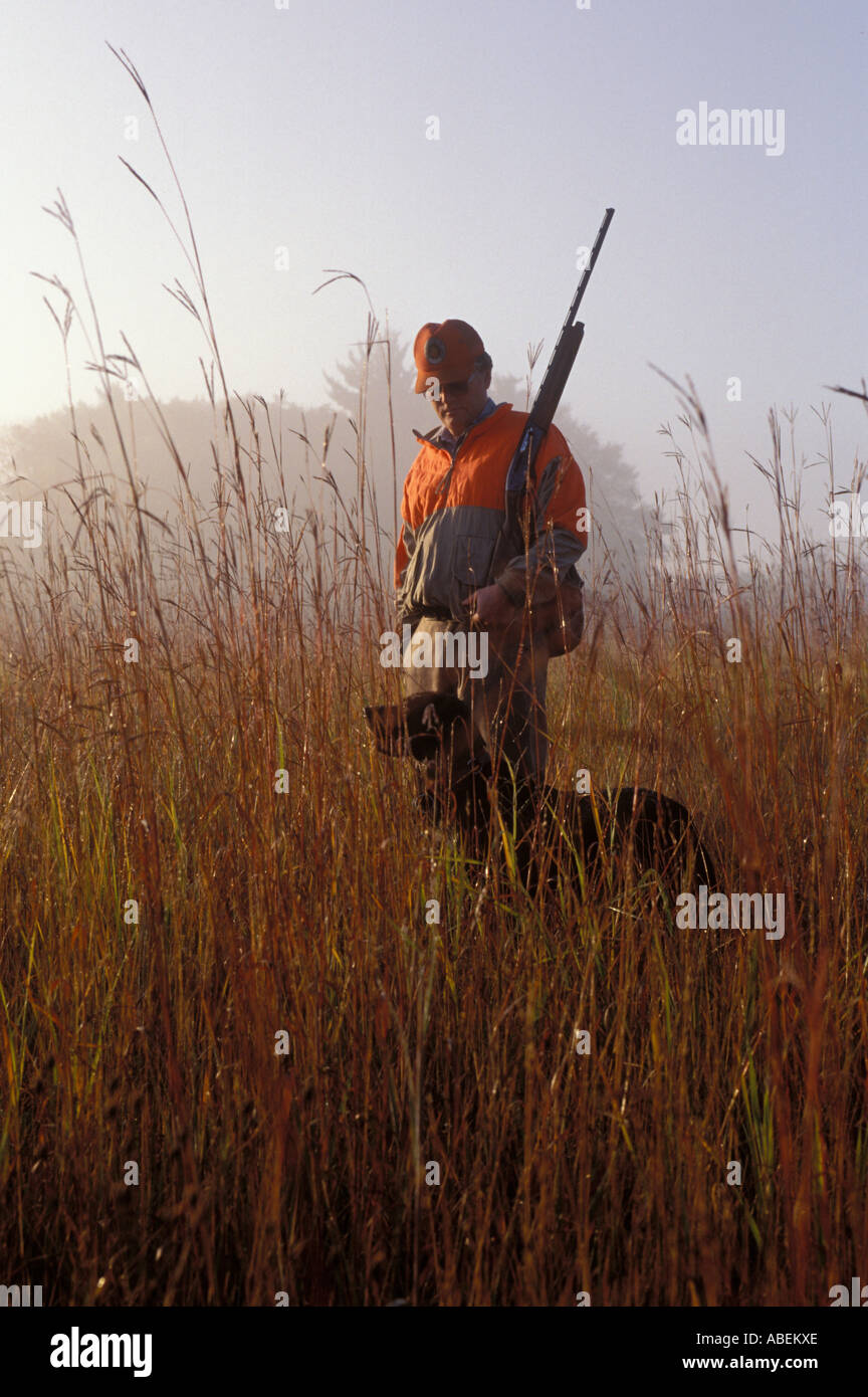 Bird hunting in fall Stock Photo - Alamy