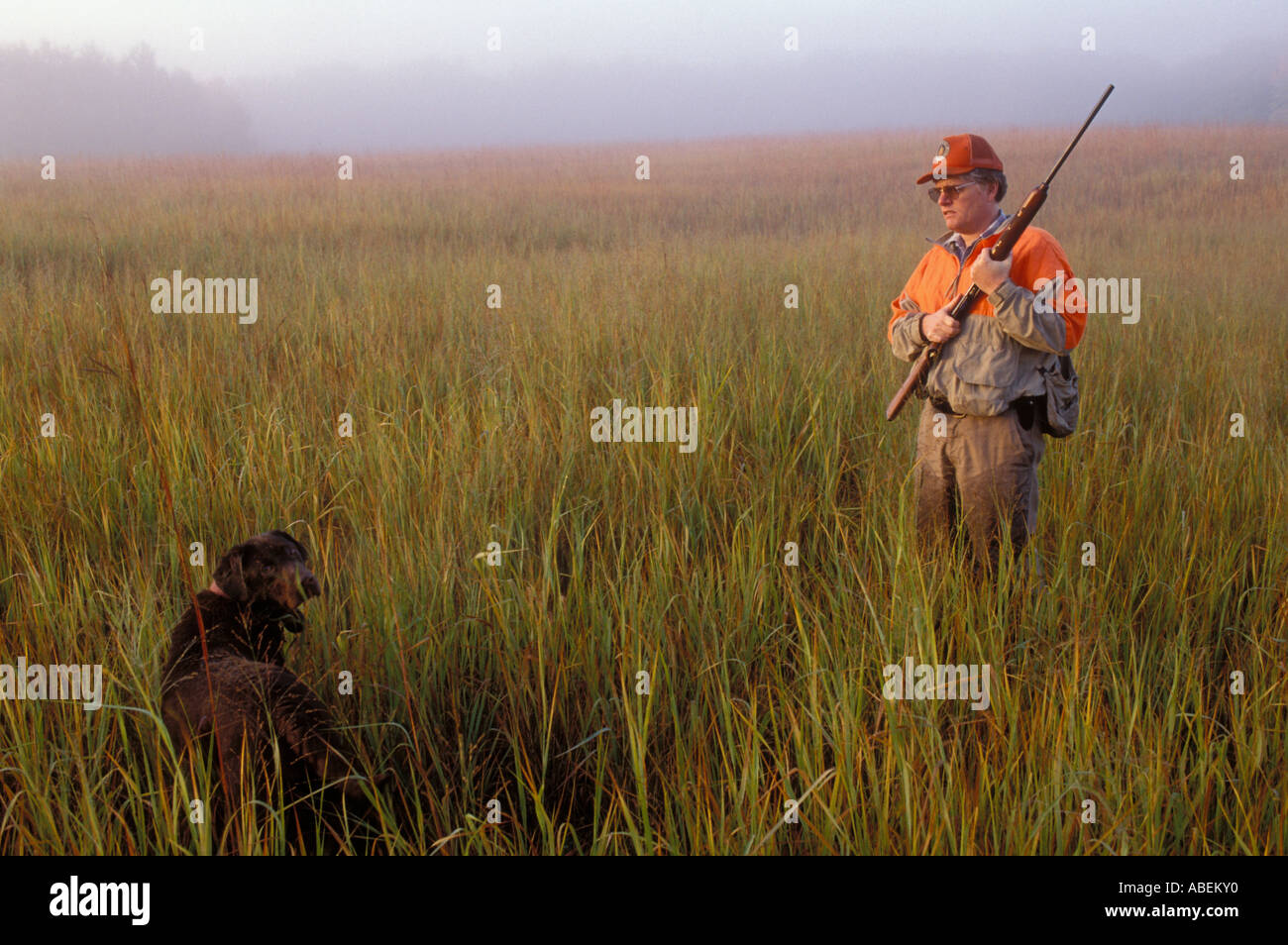 Bird hunting in fall Stock Photo - Alamy