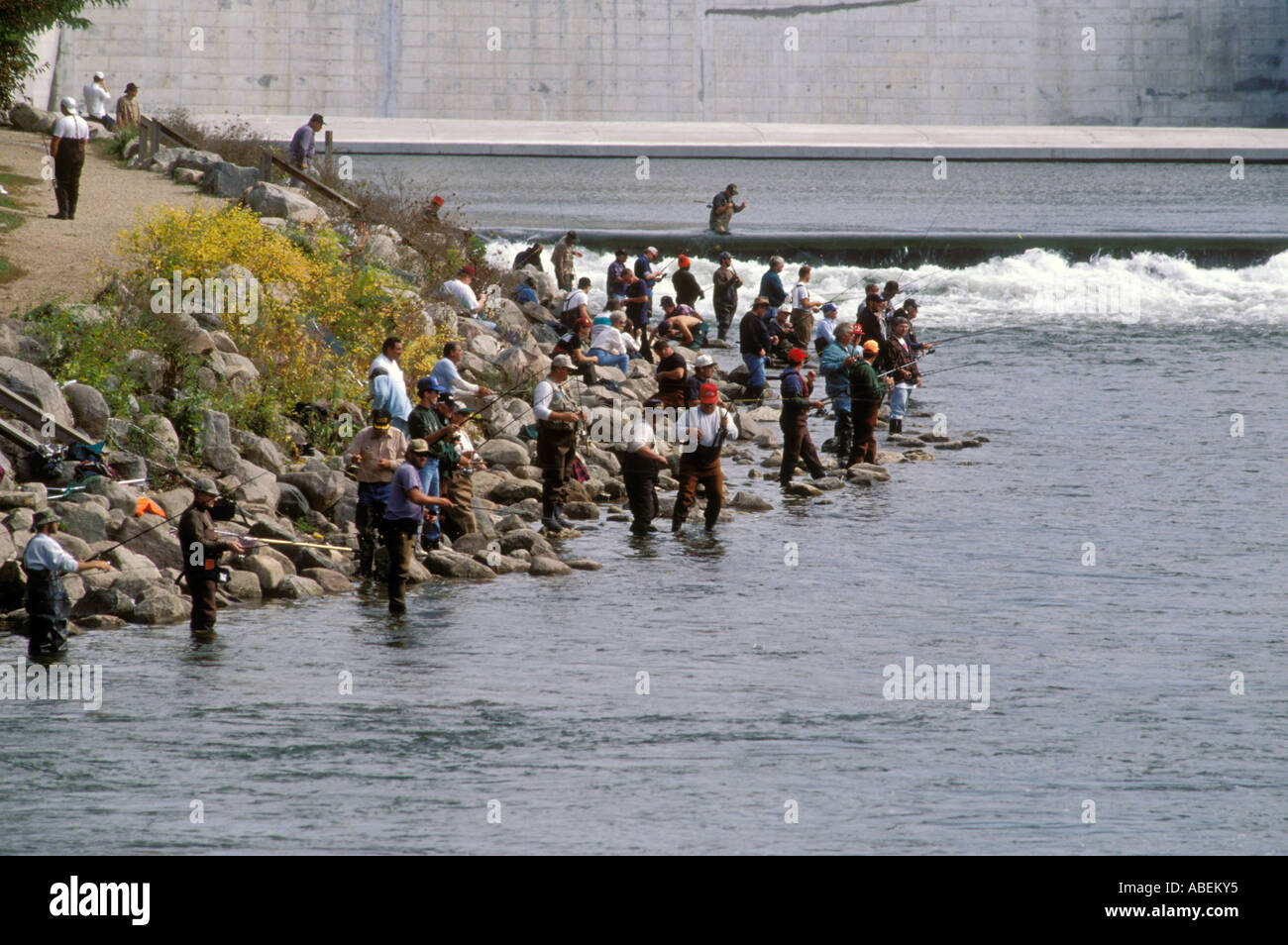 Salmon fishing at base of hydroelectric dam Stock Photo - Alamy