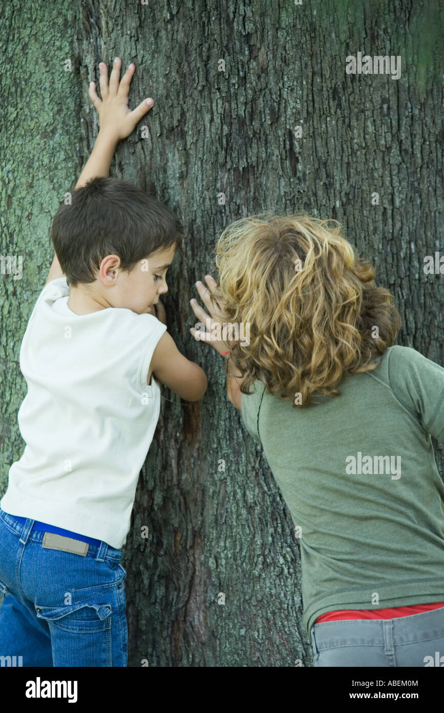 Two boys touching tree trunk, rear view Stock Photo - Alamy