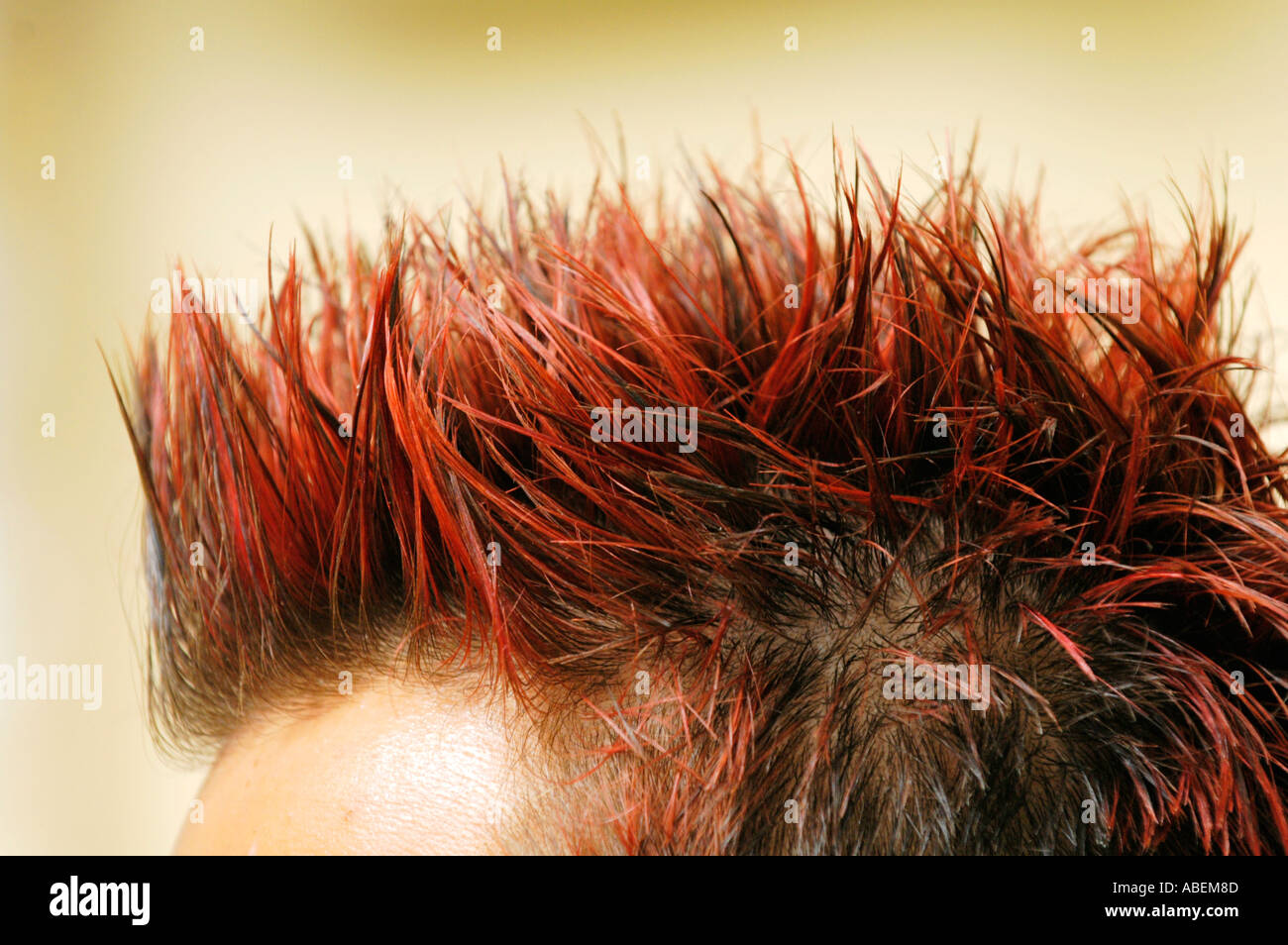 Gavin henson wales hi-res stock photography and images - Alamy