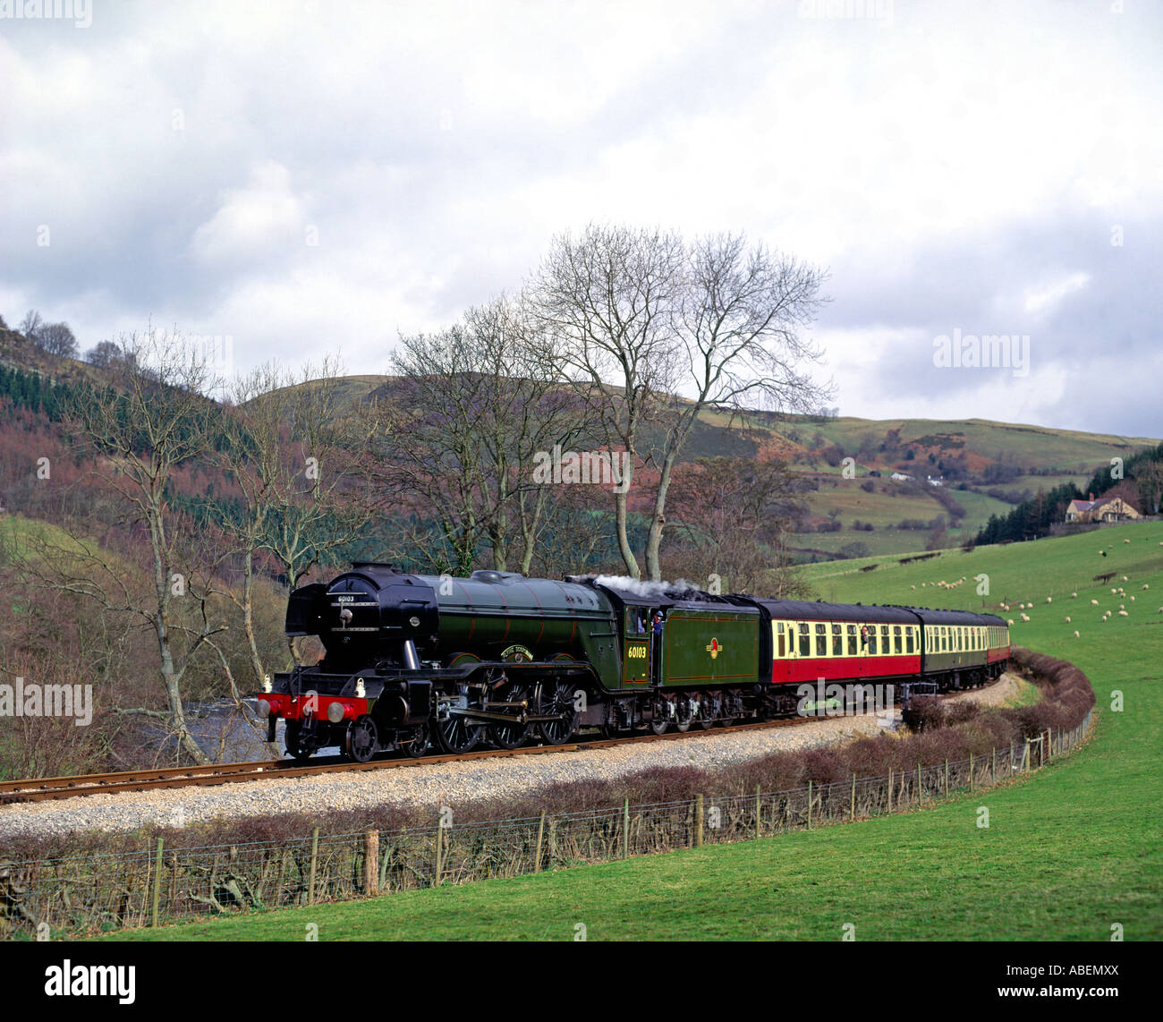 60103 Flying Scotsman in BR Livery Stock Photo - Alamy