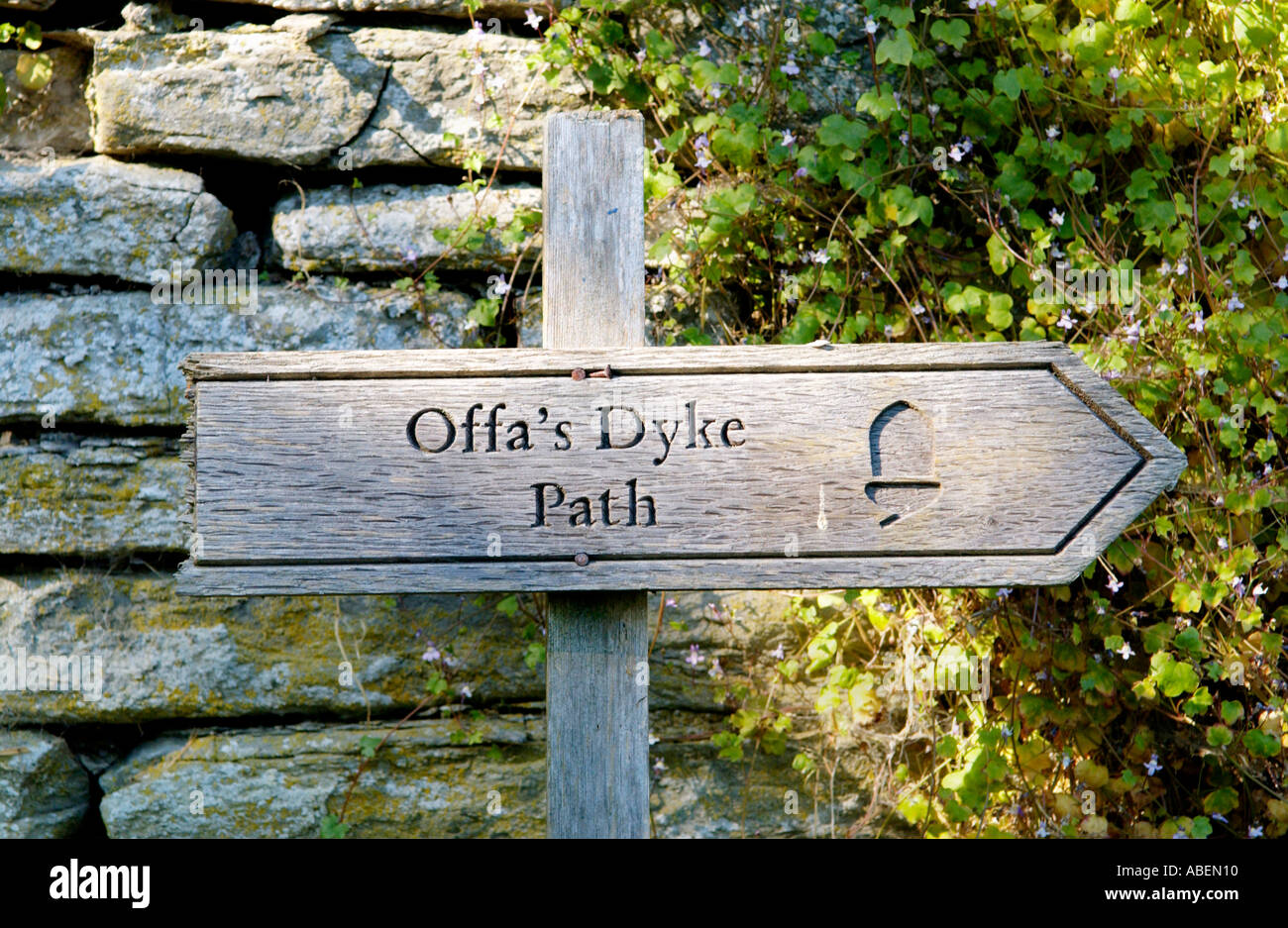 Sign directing walkers on the route of Offas Dyke at Gladestry Powys ...