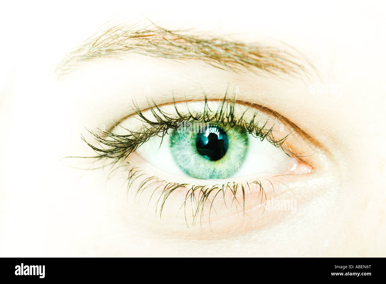 Female eye, extreme close-up Stock Photo - Alamy