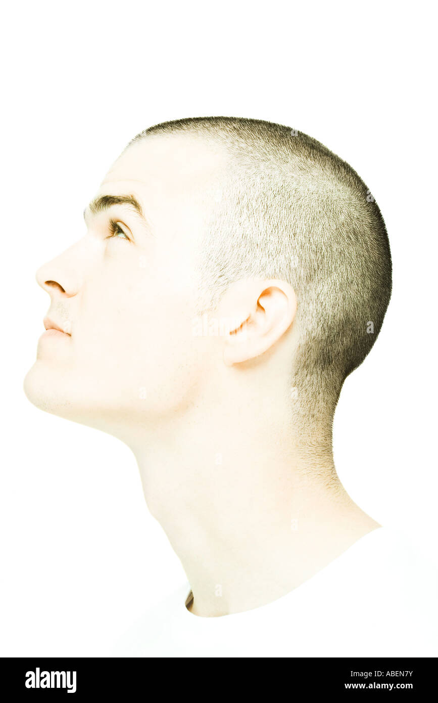 Daylight young Cut Out Stock Images & Pictures - Alamy