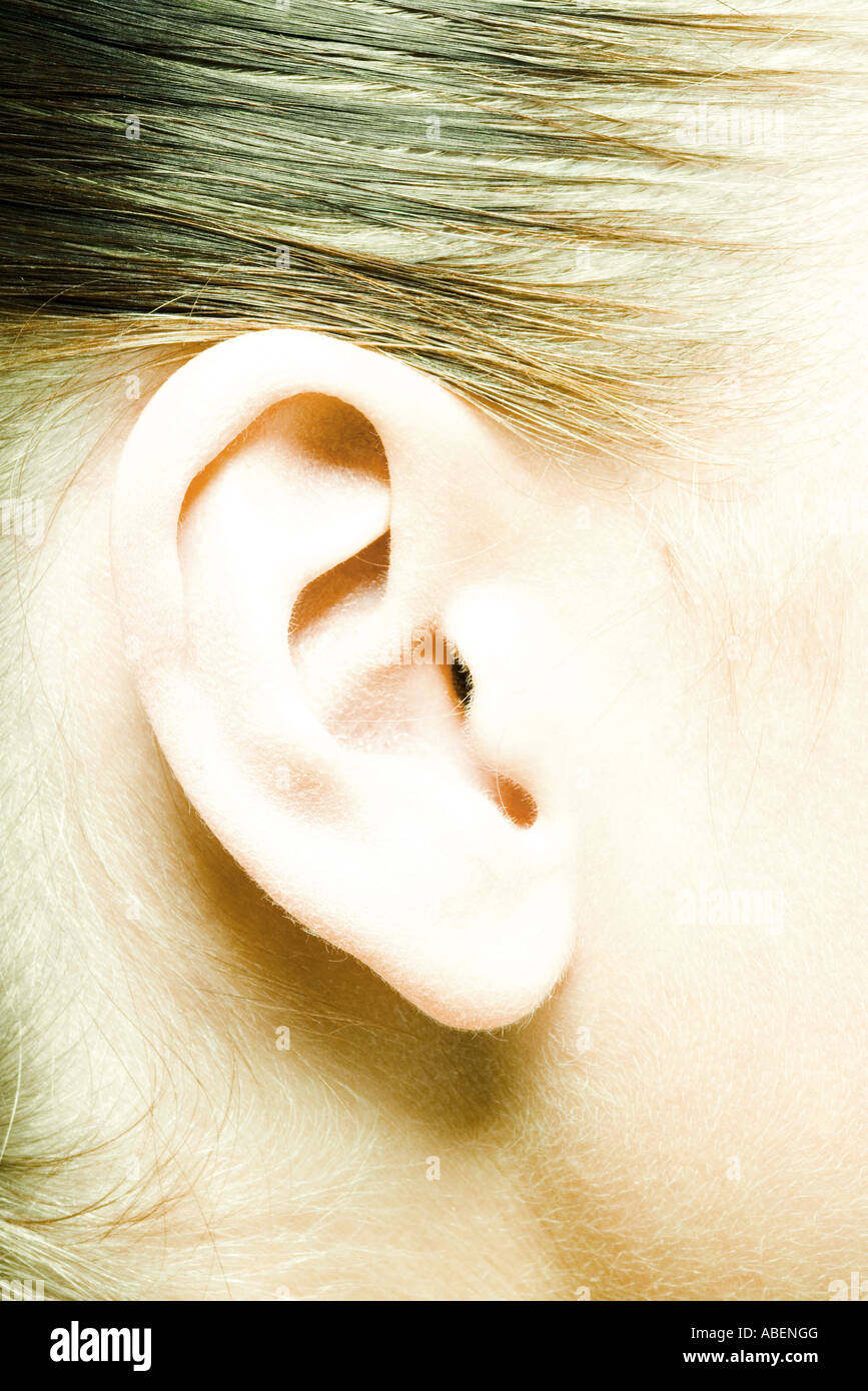 Female ear, extreme close-up Stock Photo - Alamy