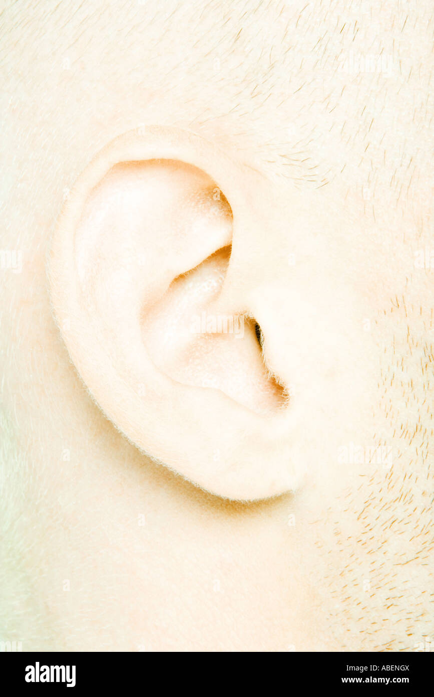 Male ear, extreme close-up Stock Photo - Alamy