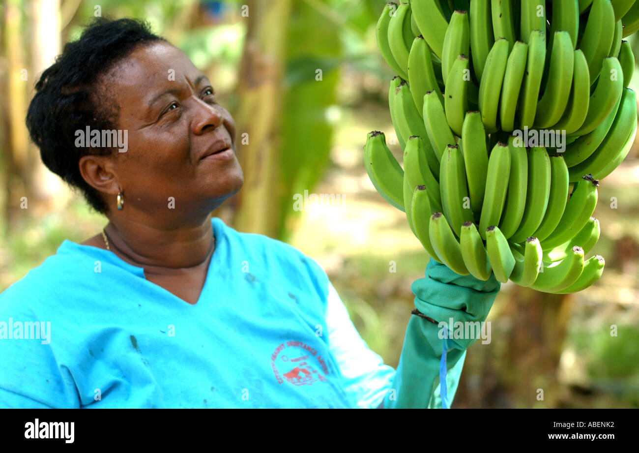 Portrait of fairtrade farmer Stock Photo - Alamy
