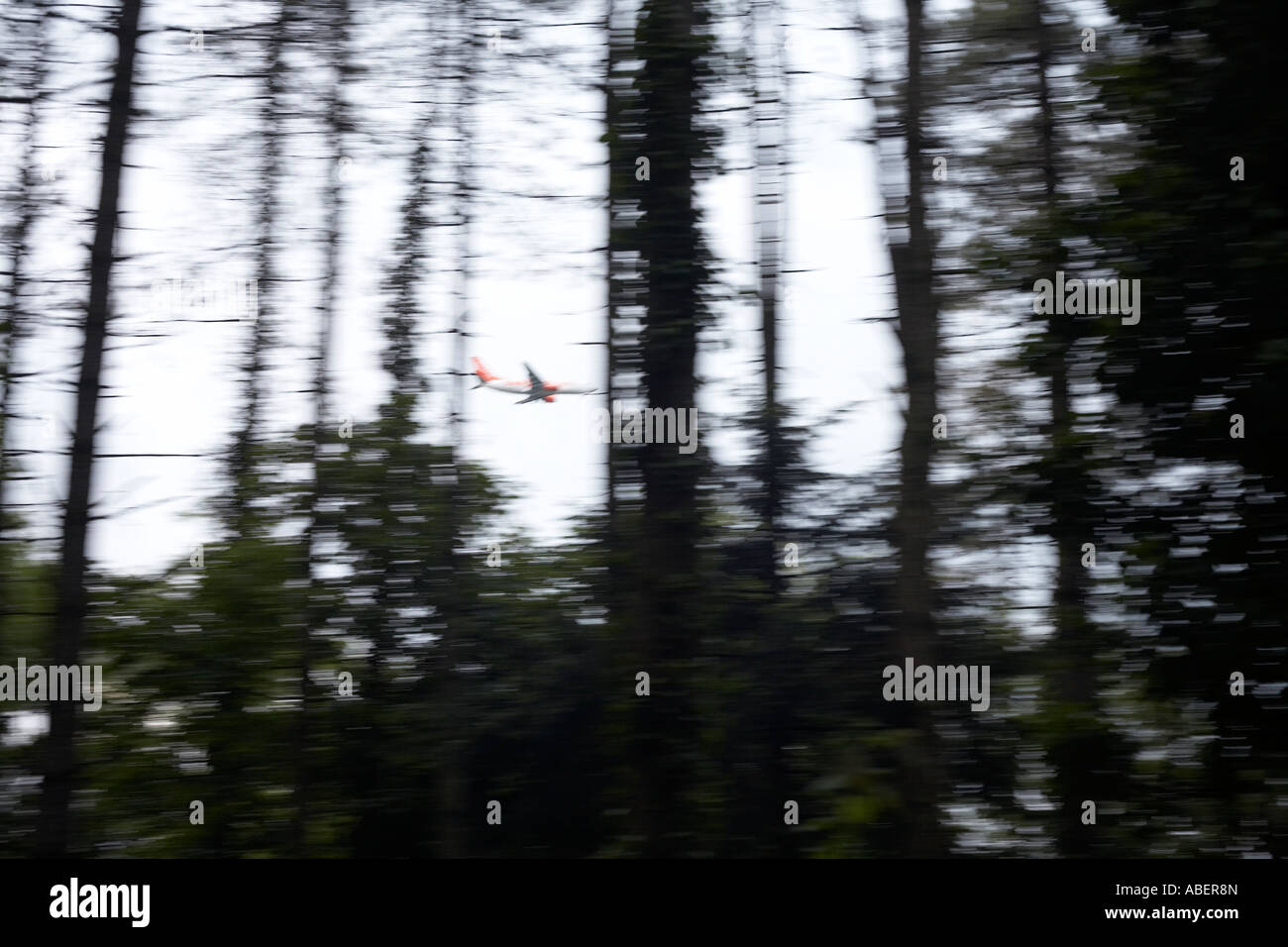 A landing Easyjet airliner passes between trees over a forest near ...