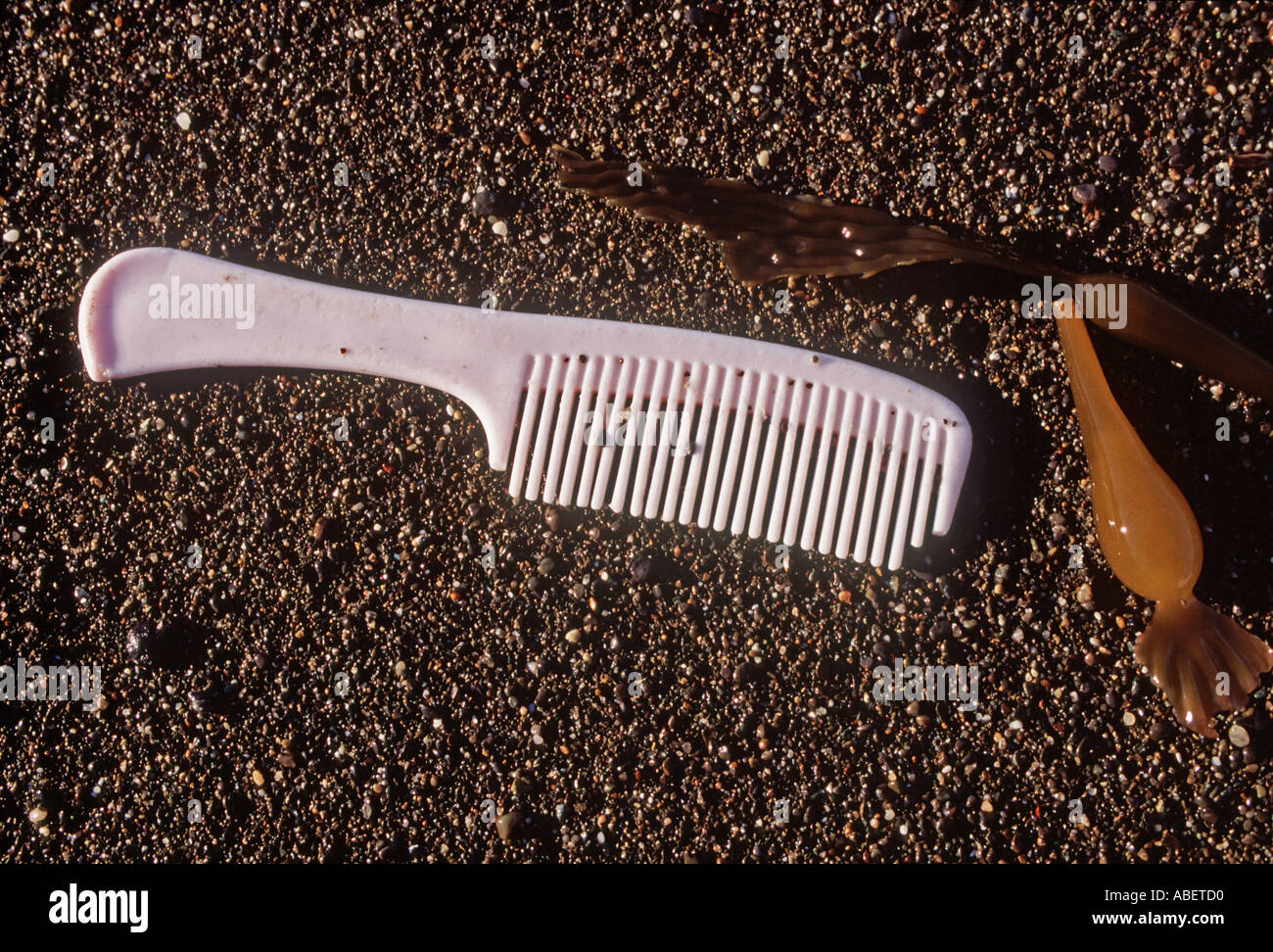 Beachcombing beach combing hi-res stock photography and images - Alamy