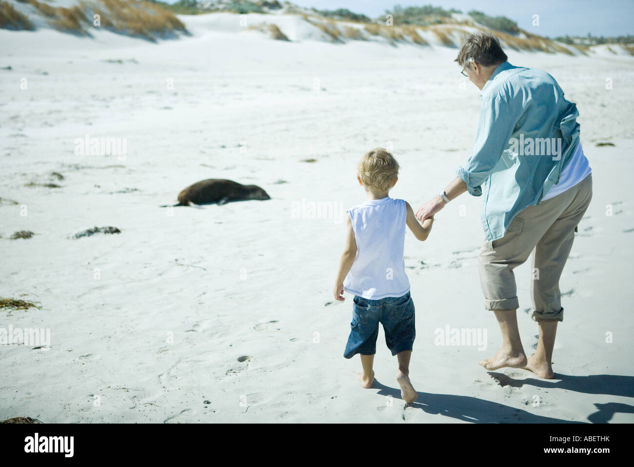 Child and adult walking on sand Stock Photo - Alamy