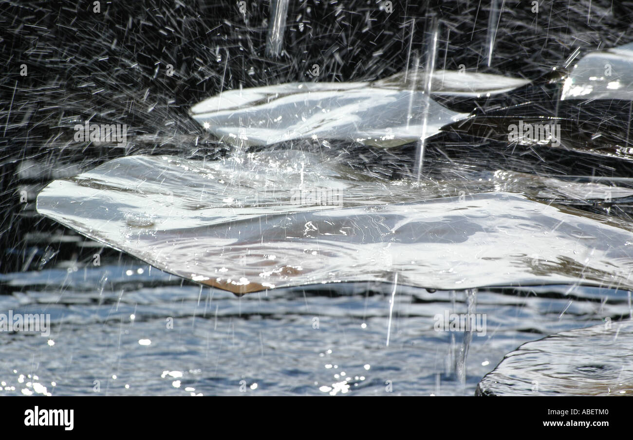 Close-up of splashing water with dynamic movement and droplets ...
