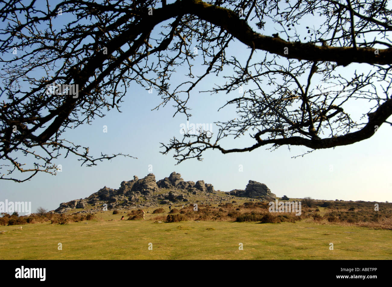 Hound Tor on Dartmoor, Devon, UK Stock Photo - Alamy