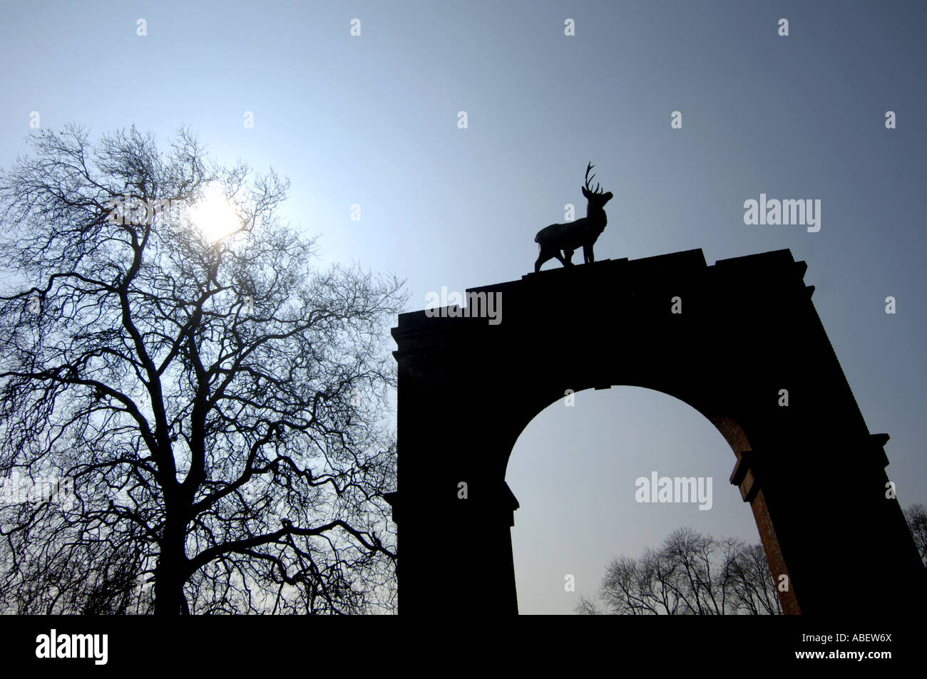 Stag Gate High Resolution Stock Photography and Images - Alamy