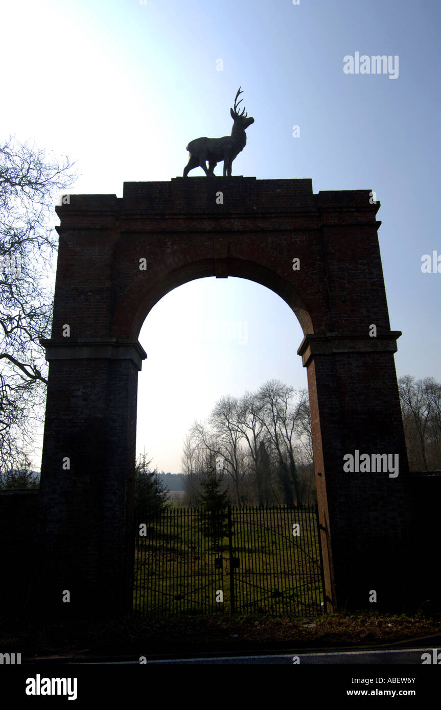 Five legged stag hi-res stock photography and images - Alamy
