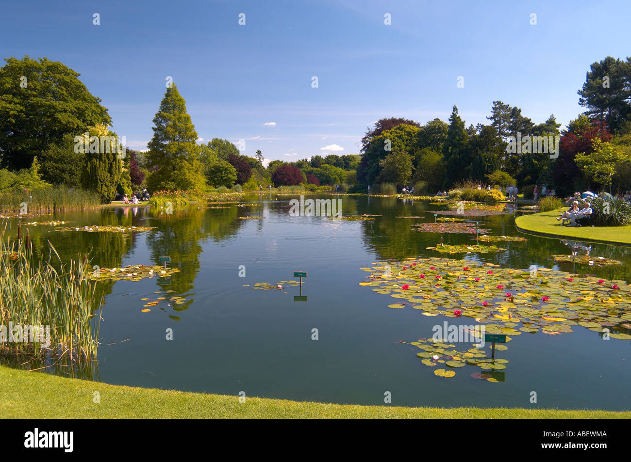 Burnby hall gardens hi-res stock photography and images - Alamy