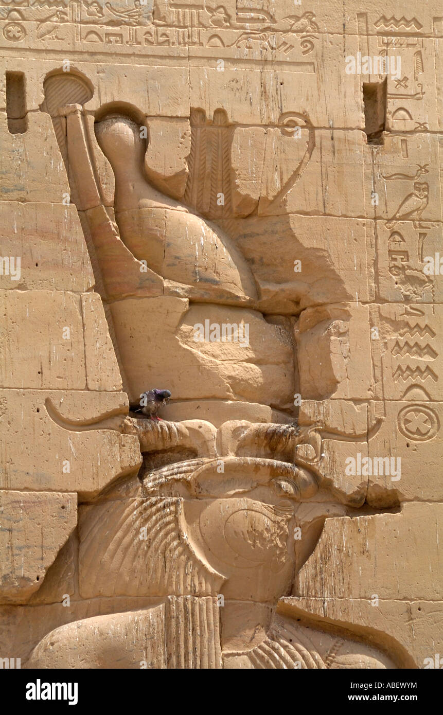 Relief pharaoh horus temple horus hi-res stock photography and images ...