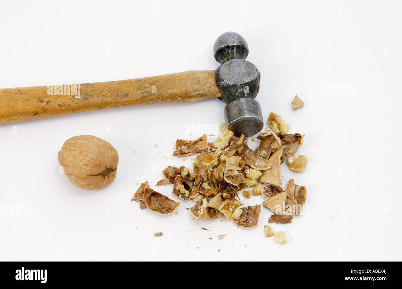 Hammer Cracking walnut on white background Stock Photo - Alamy