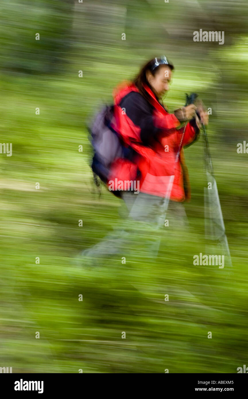 Trekking in the Forest Human Figure Movement Blurred Shot Woman in Red ...