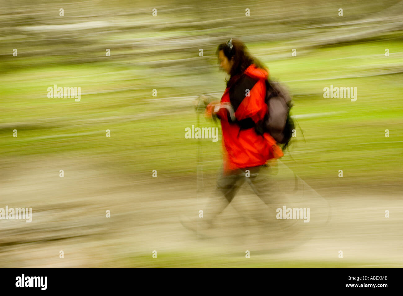 Trekking in the Forest Human Figure Movement Blurred Shot Woman in Red ...