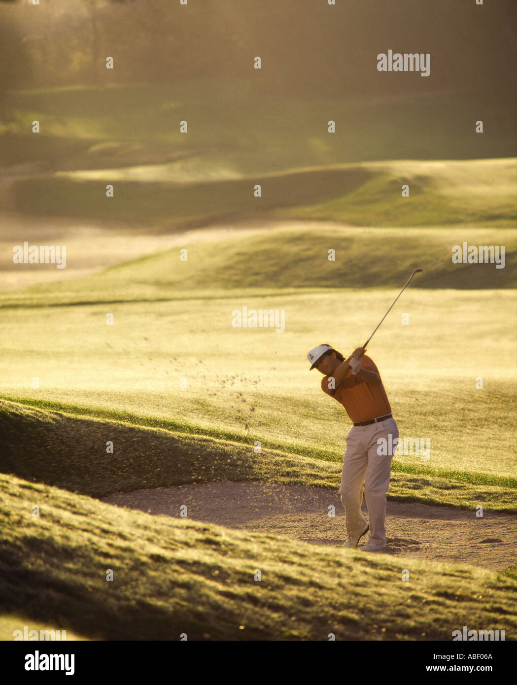MALE GOLFER HITS FROM SAND TRAP EARLY MORNING BACKLIGHT Stock Photo - Alamy