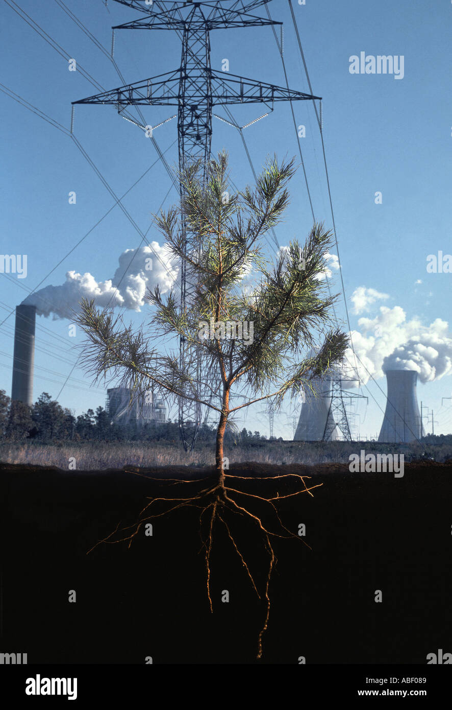 Cutaway view of tree roots in ground with power plant in plant ...