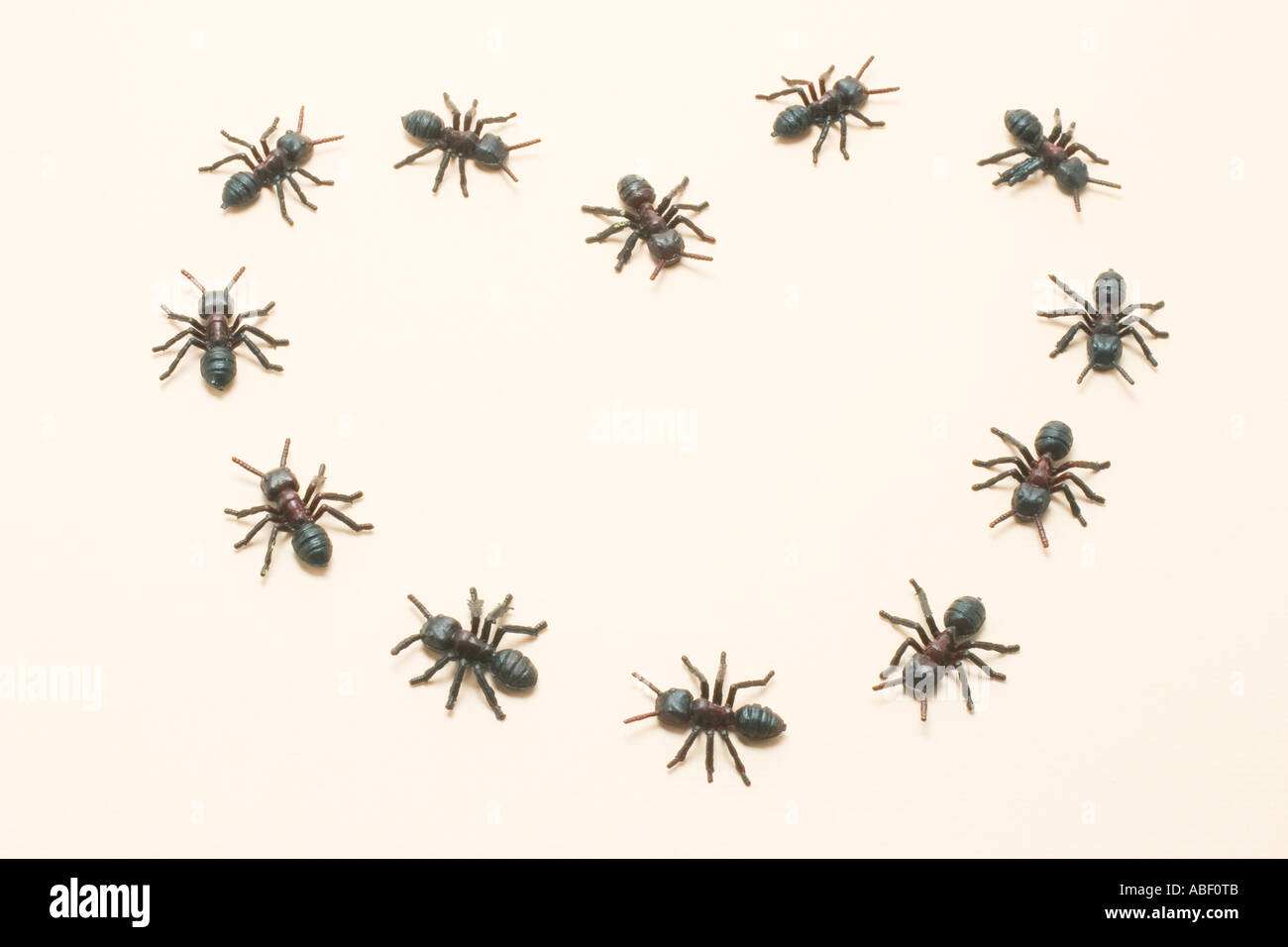 Insects in heart shape hi-res stock photography and images - Alamy