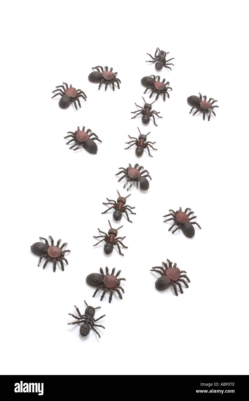 Money spiders hi-res stock photography and images - Alamy