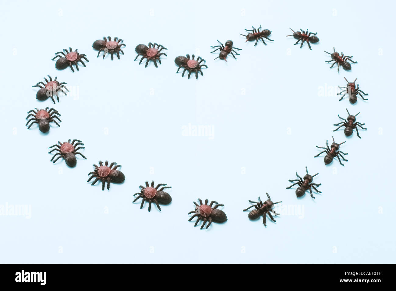 Plastic Spiders and Ants in Heart Symbol Stock Photo - Alamy