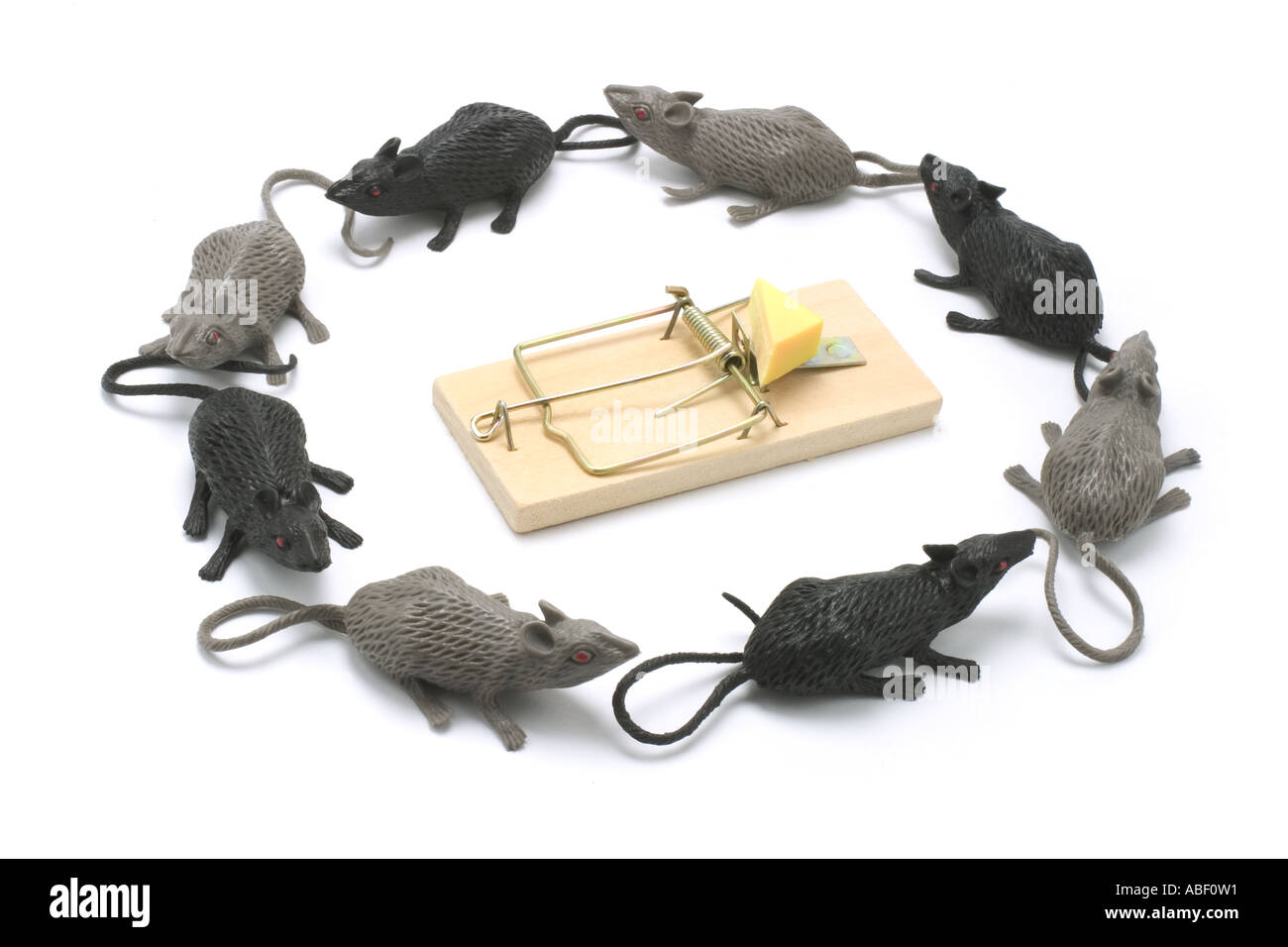 Toy Rats and Mousetrap with Cheese Stock Photo - Alamy
