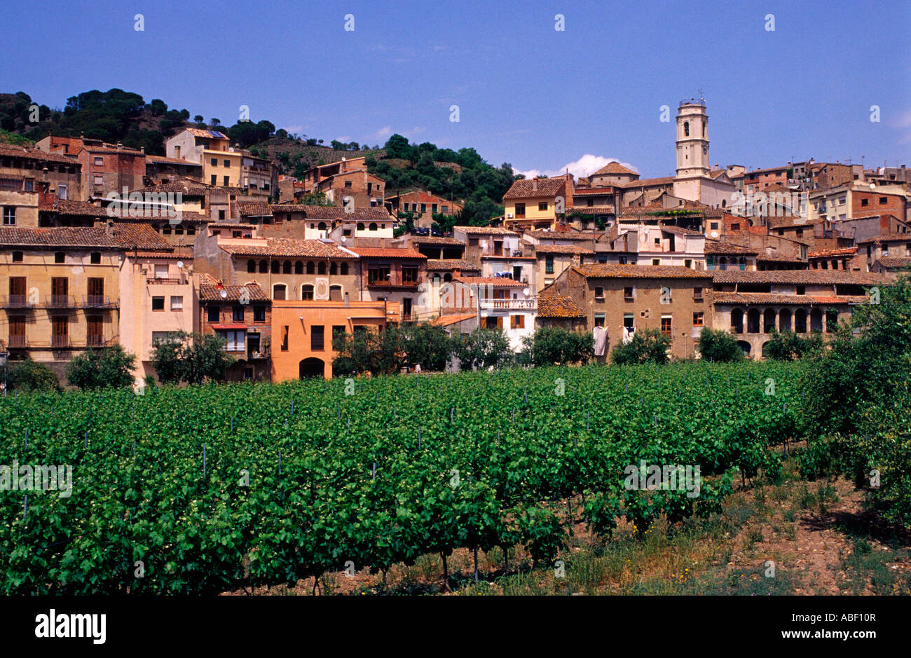 Porrera . Priorat region . Tarragona province.Catalonia. Spain Stock ...