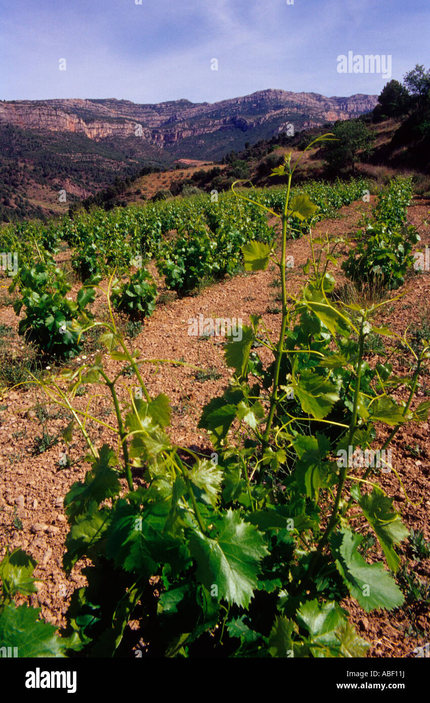 El Priorat High Resolution Stock Photography and Images - Alamy