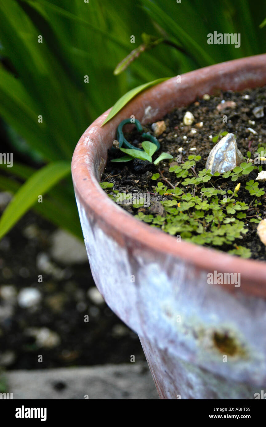 Half broken pot hi-res stock photography and images - Alamy