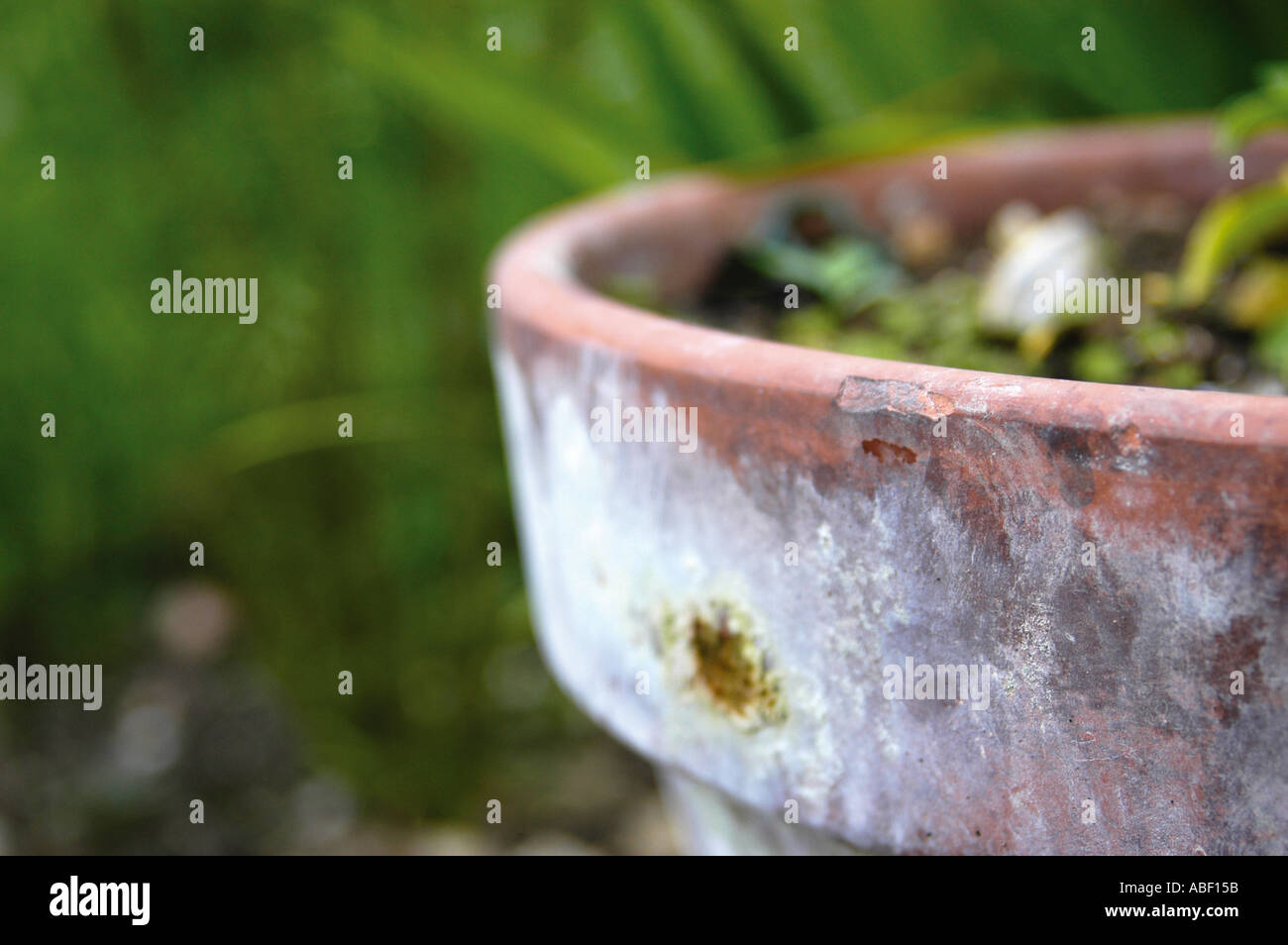 Half broken pot hi-res stock photography and images - Alamy