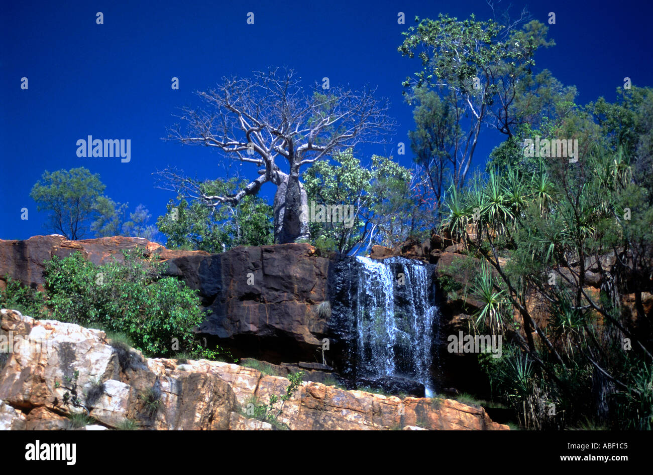 10 96 Western Australia Australia The Kimberley Galvin Gorge Stock ...