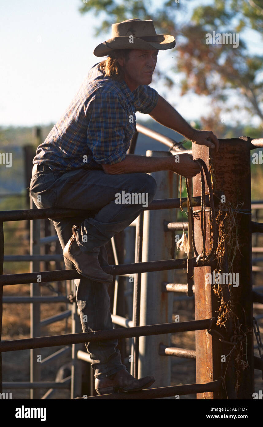 10 96 Western Australia Australia The Kimberley a cattle stockman Stock ...