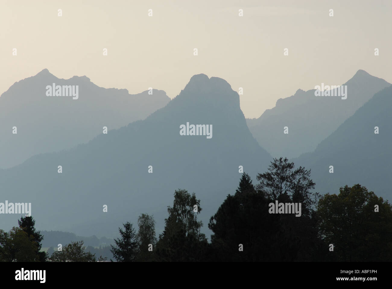 Gilgen hi-res stock photography and images - Alamy