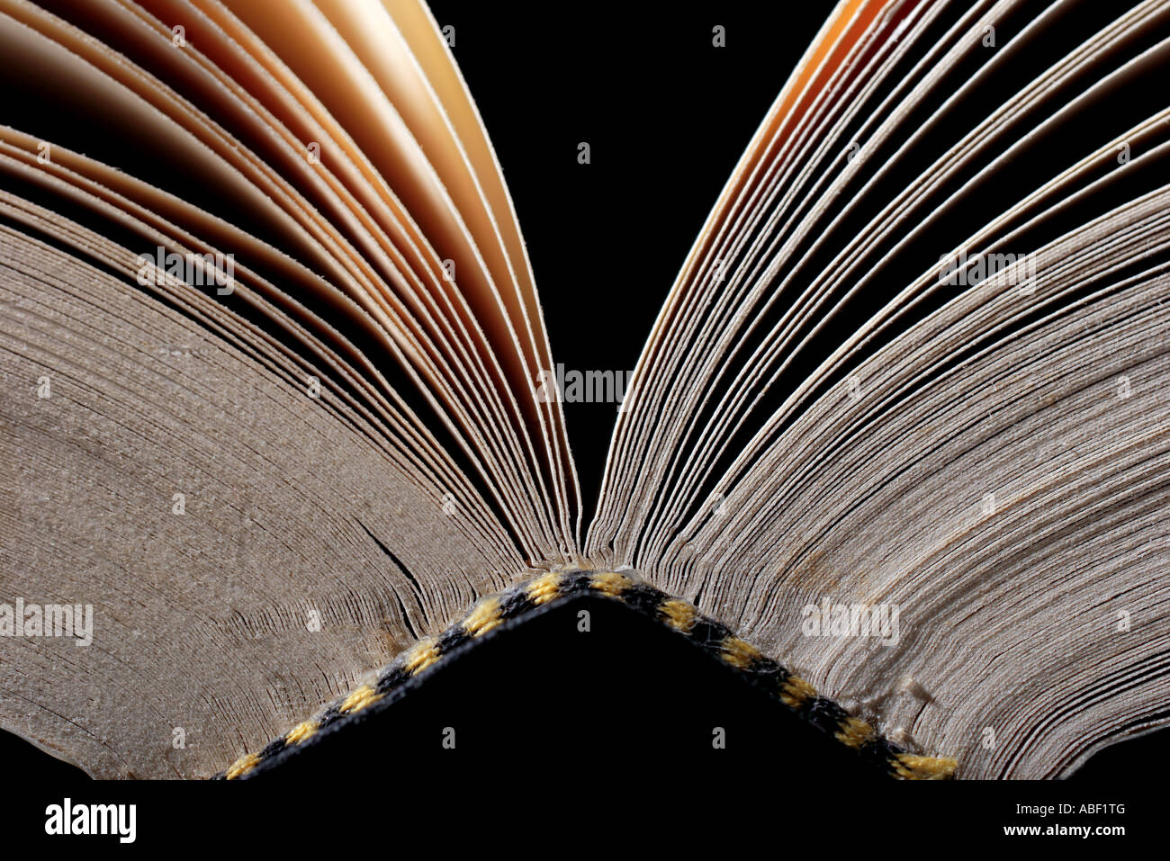 Book novel english open page hi-res stock photography and images - Alamy
