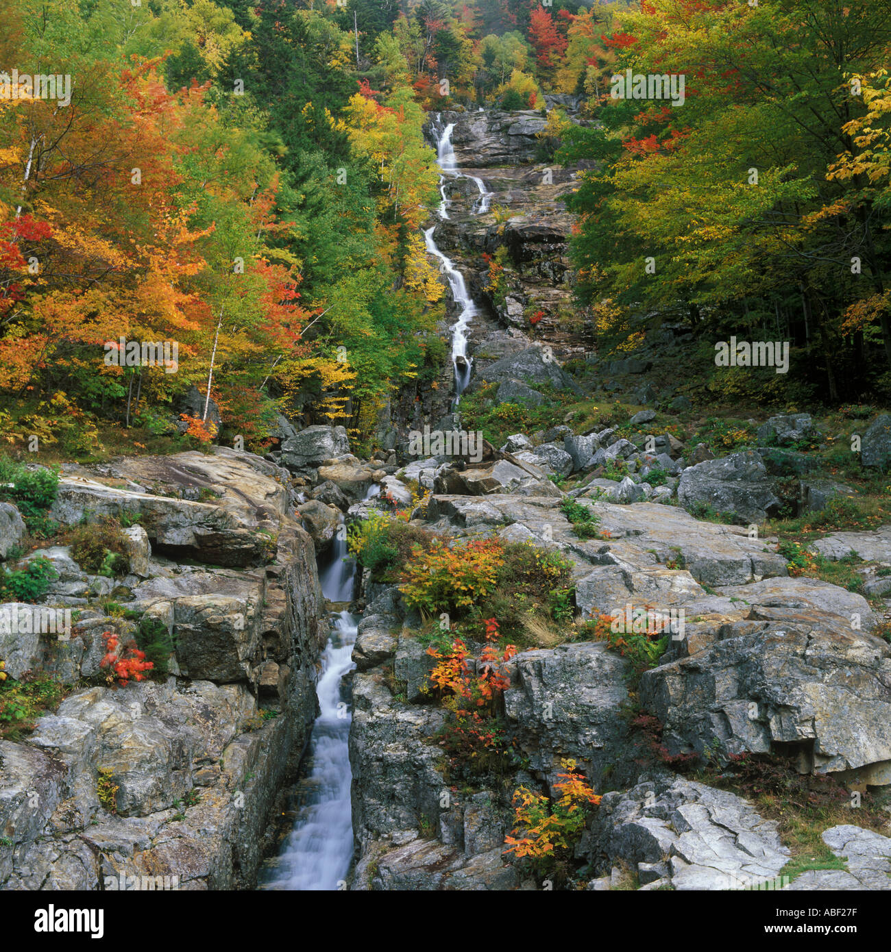 Silver falls state park red hi-res stock photography and images - Alamy