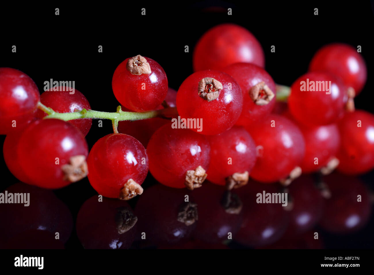 Redcurrant stalk hi-res stock photography and images - Alamy