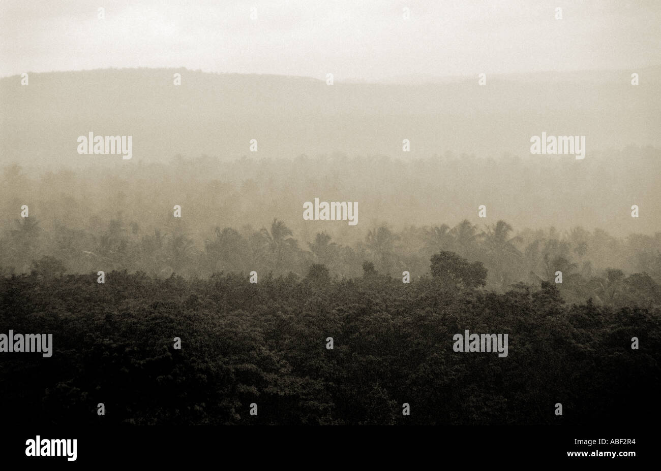 Landscape with soft gradation over the hills and vegetation in a ...