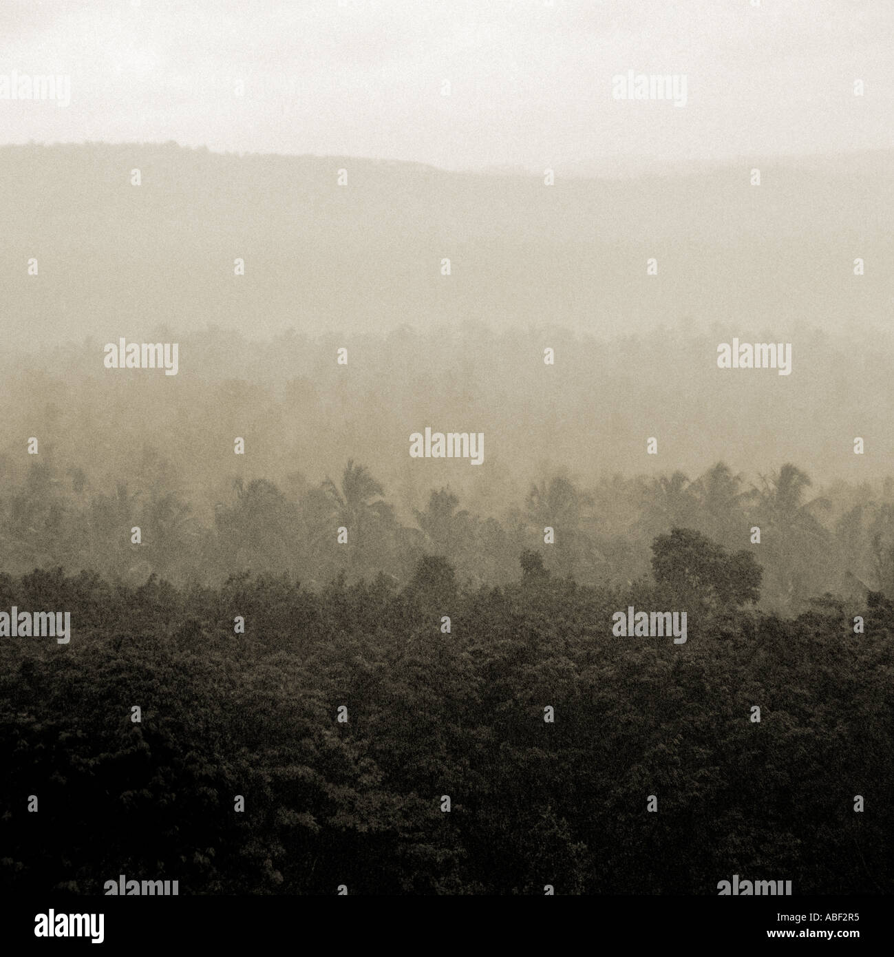 Landscape with soft gradation over the hills and vegetation in a ...