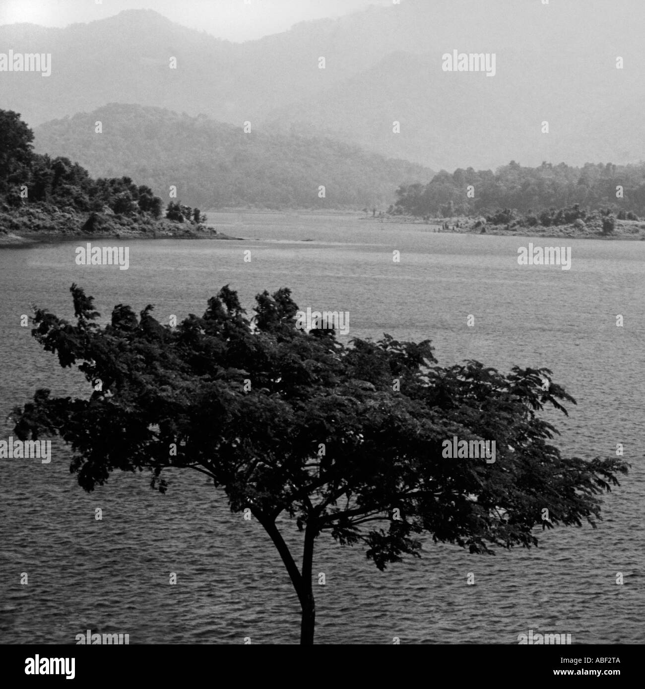 Landscape with soft gray gradation over the hills and vegetation in ...