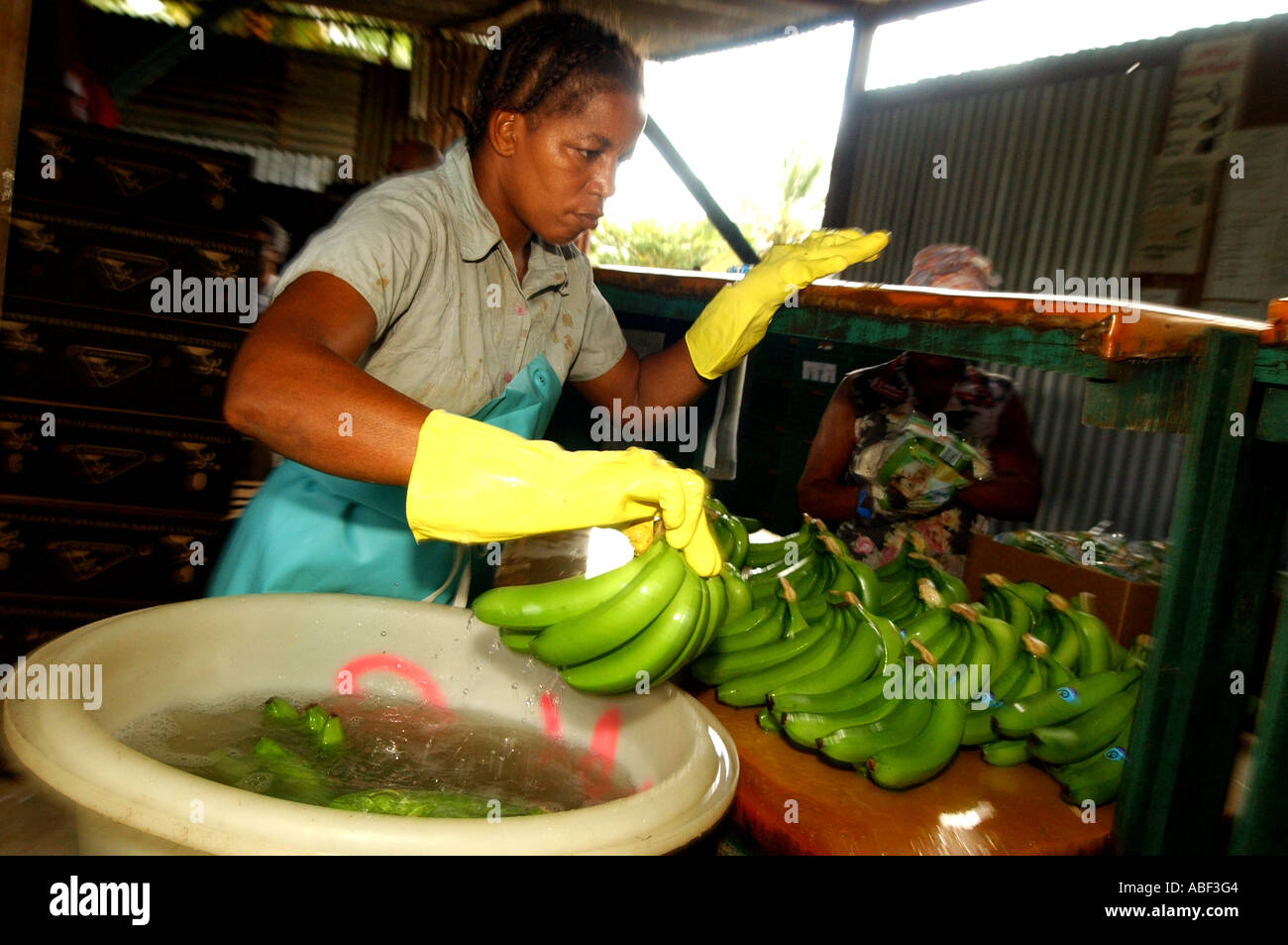 Washing bananas hi-res stock photography and images - Alamy